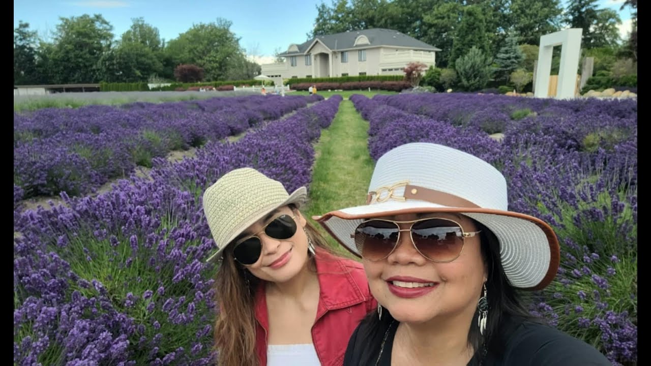 The Beautiful LAVENDERLAND 2024 in Richmond BC - YouTube