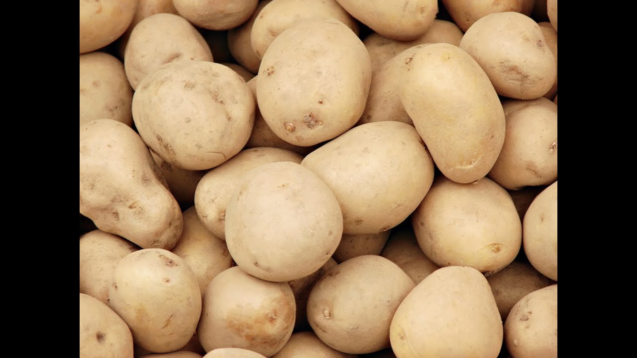 Unpeeled Potato Sorting Raynbow 3Way High Speed | Raytec Vision - YouTube