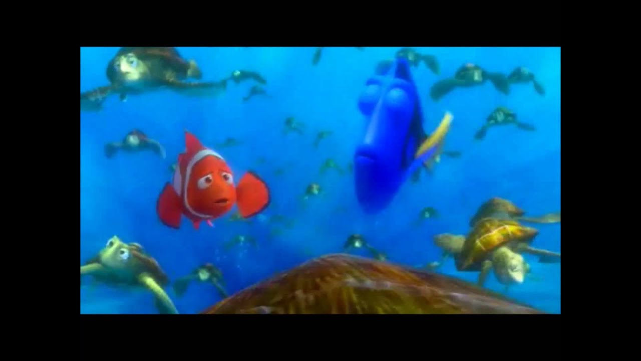 Finding Nemo You Know... - YouTube