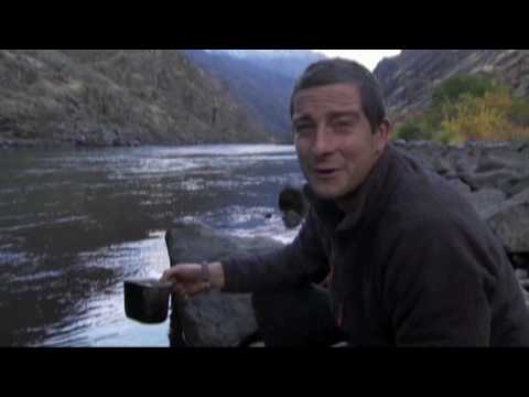 Born Surivor - Fish Head Soup