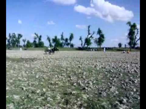 OX RACE(BAIL GARI RACE) - YouTube