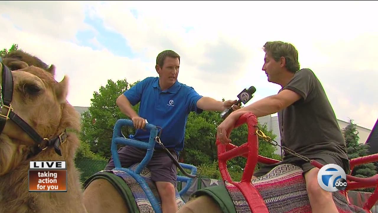 Dave Rexroth riding camels! - YouTube