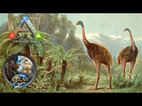 Mẹ Già Đi Bắt Chim Đà Điểu Cổ Đại Moa | ARK Atlas | ARK Gaming Online ...