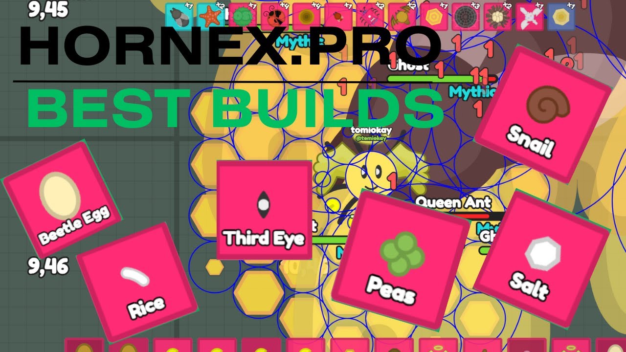Hornex.pro - Best Builds - YouTube