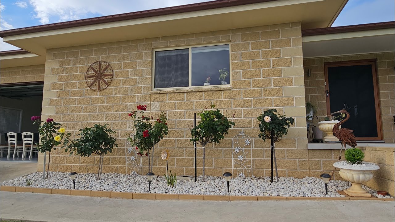 Fiona & Kelly Cramp's garden November 2025 - YouTube