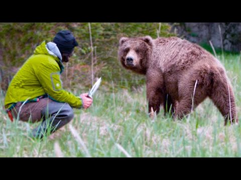 10 Animals That Took Revenge On Humans