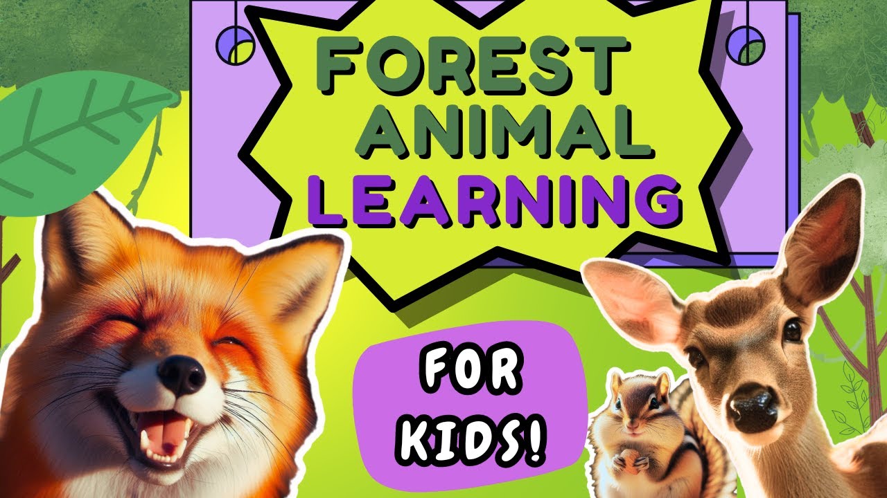 Woodland Forest Animals for Kids! Fun Facts and Amazing Adventure - YouTube