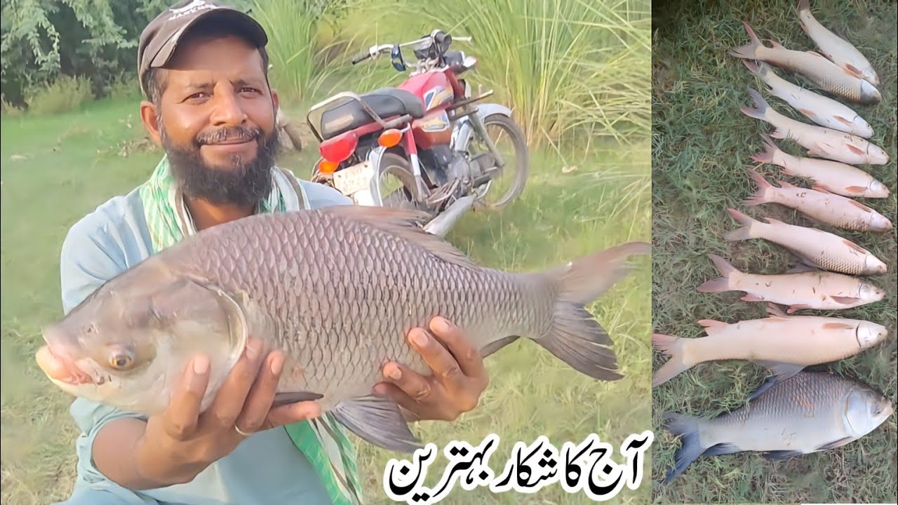 Aaj ka shikar behtarin dayaram chandiya point 🐠👈 - YouTube