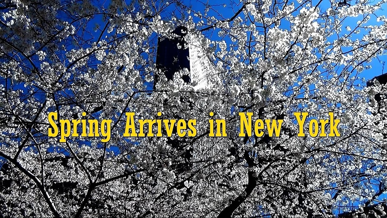 How Does Spring Appear In New York? - YouTube