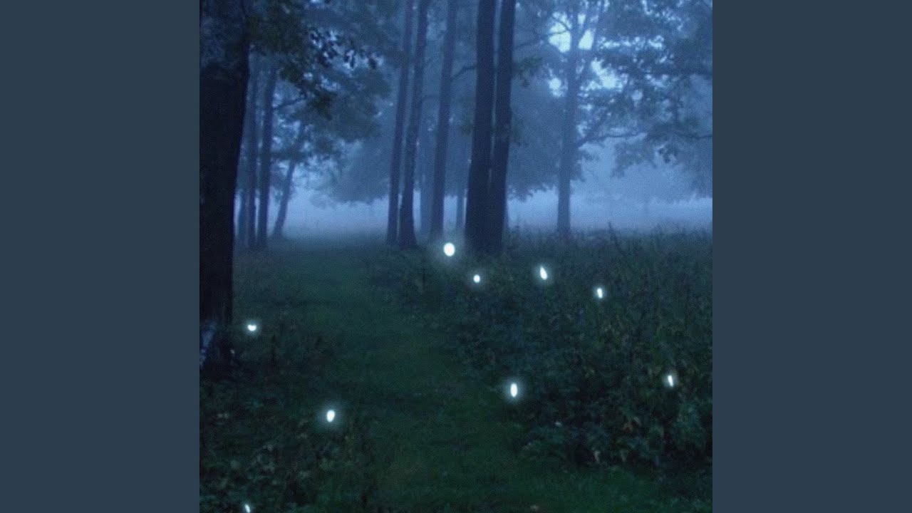 cosmic fireflies - YouTube