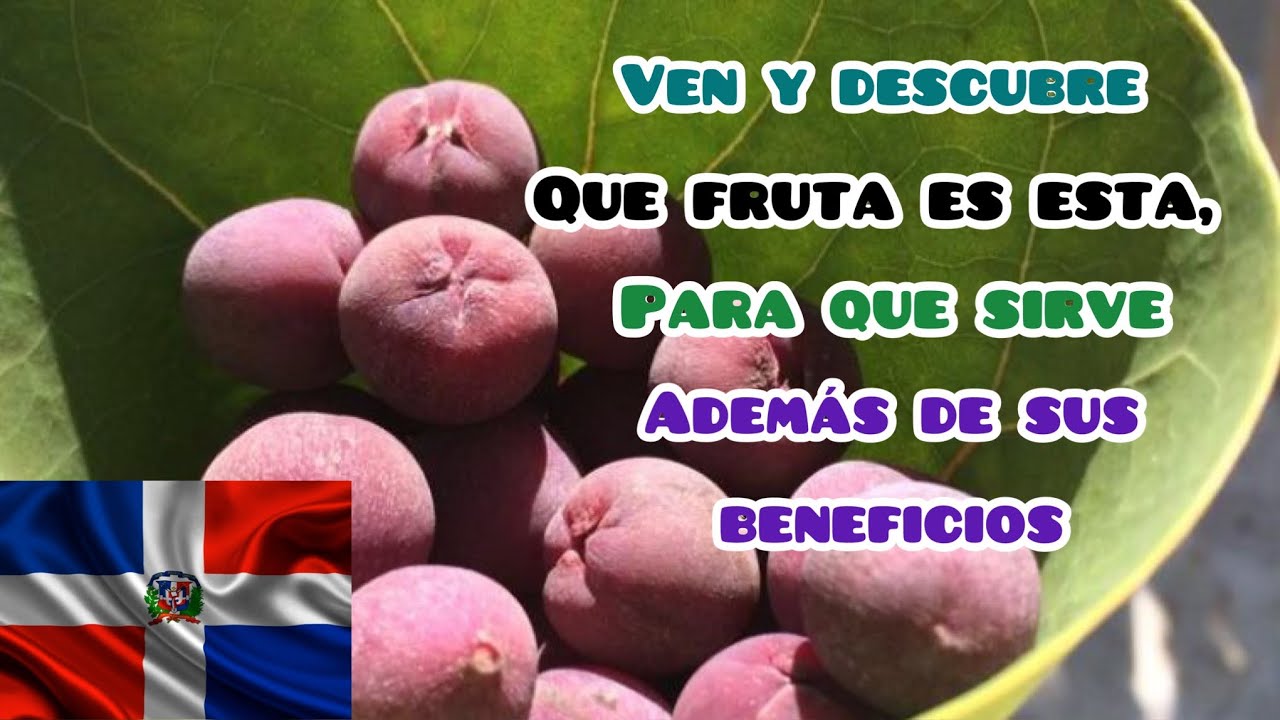 Como Hacer Jugo De Uvas De Playa 🇩🇴 - YouTube