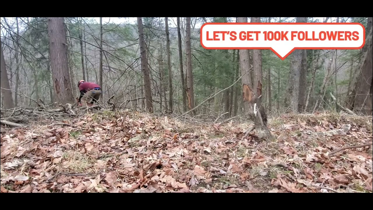 Widow Maker On Last Tree Of The Day - YouTube