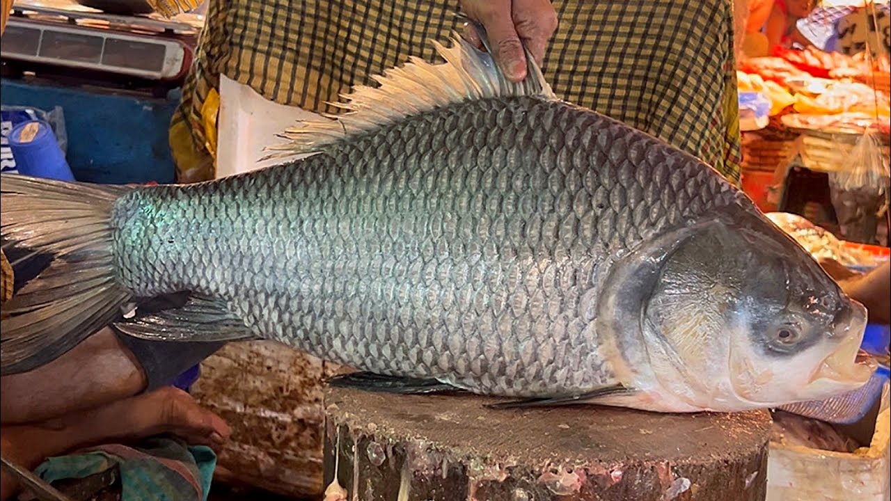 Incredible Big Katla Fish Cutting Skills In Fish Market | Amazing Fish ...