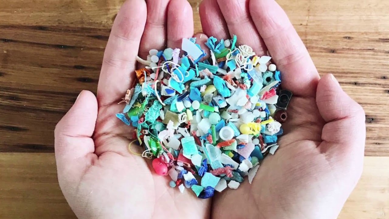 issues-in-the-21st-century-plastic-problems-youtube