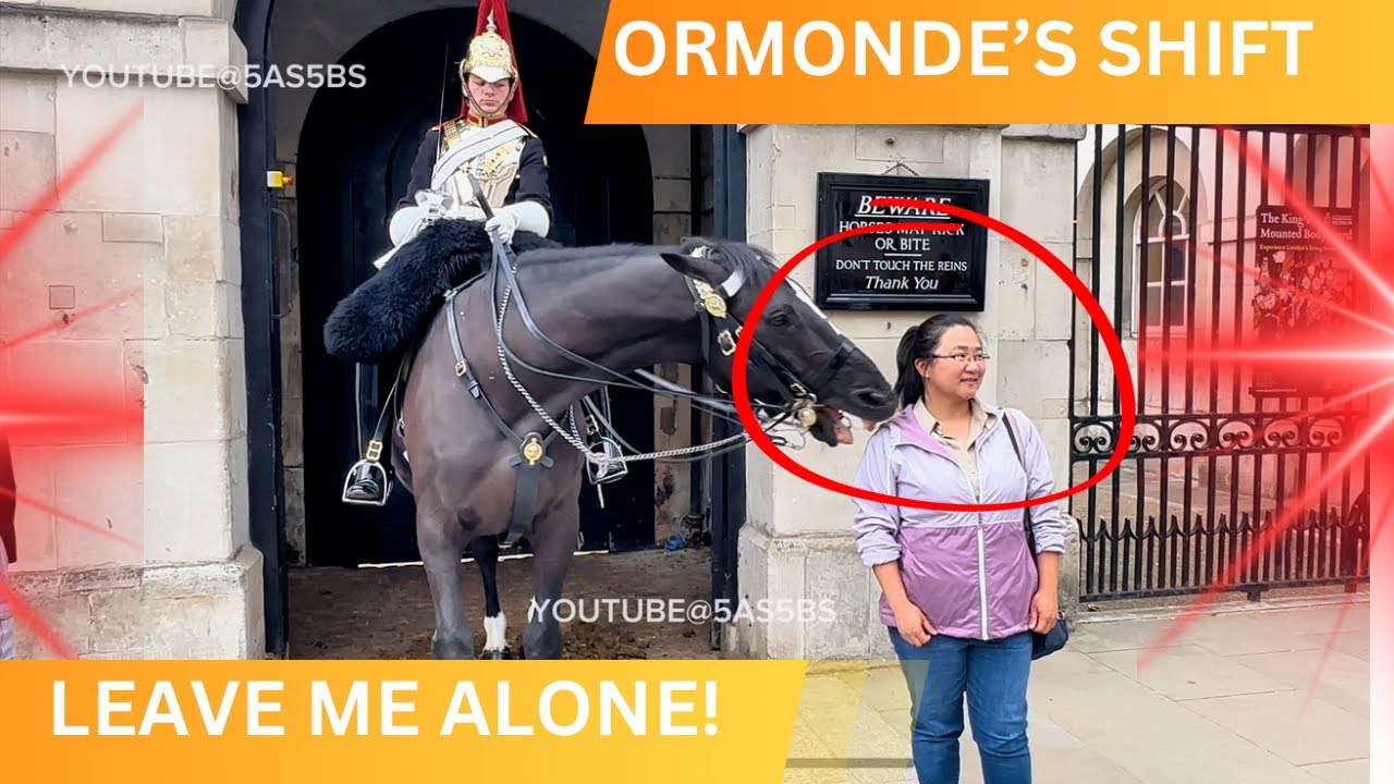 ORMONDE KEEPS FIGHTING FOR PERSONAL SPACE! Epic Moments Horse Guards ...