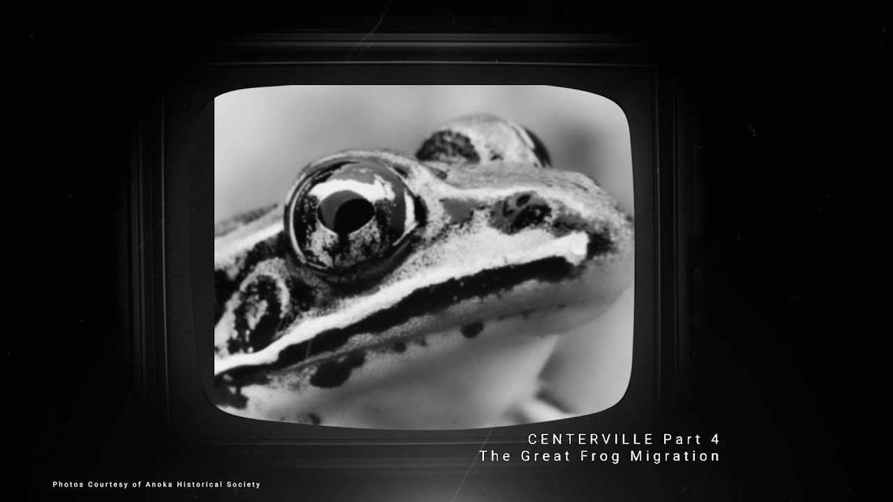 Centerville Ep4 The Great Frog Migration - YouTube