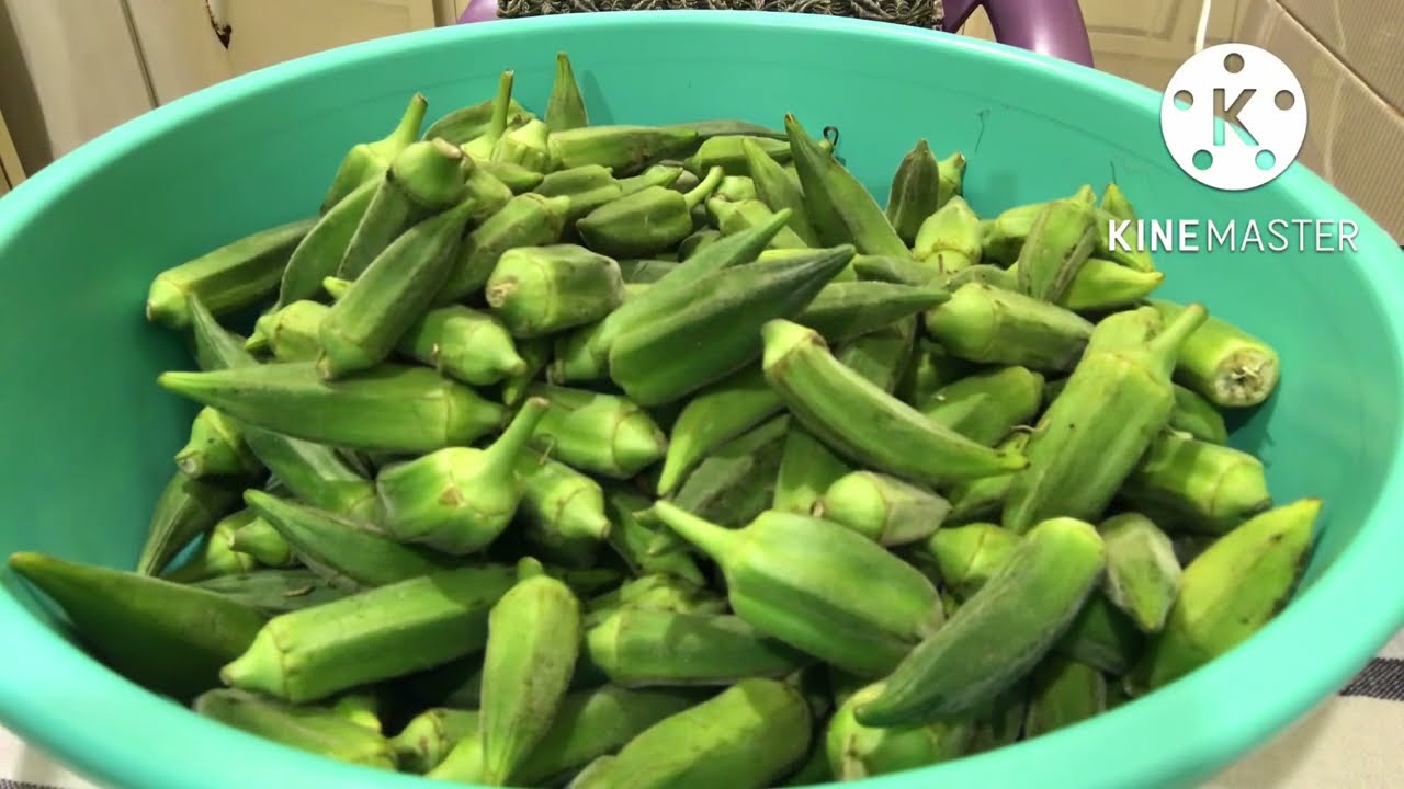 Tips Mudah Cara Frozen Okra || Kegiatan Tkw Arab Di Dapur - YouTube