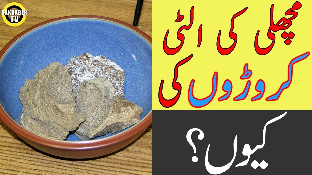Whale vomit why so expensive | whale vomit a floating gold | machli ki ...