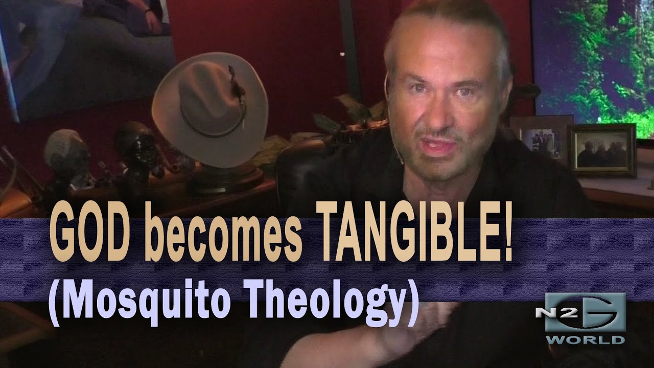 N2-2 Rod Pruitt: GOD BECOMES TANGIBLE? (Mosquito Theology) - YouTube