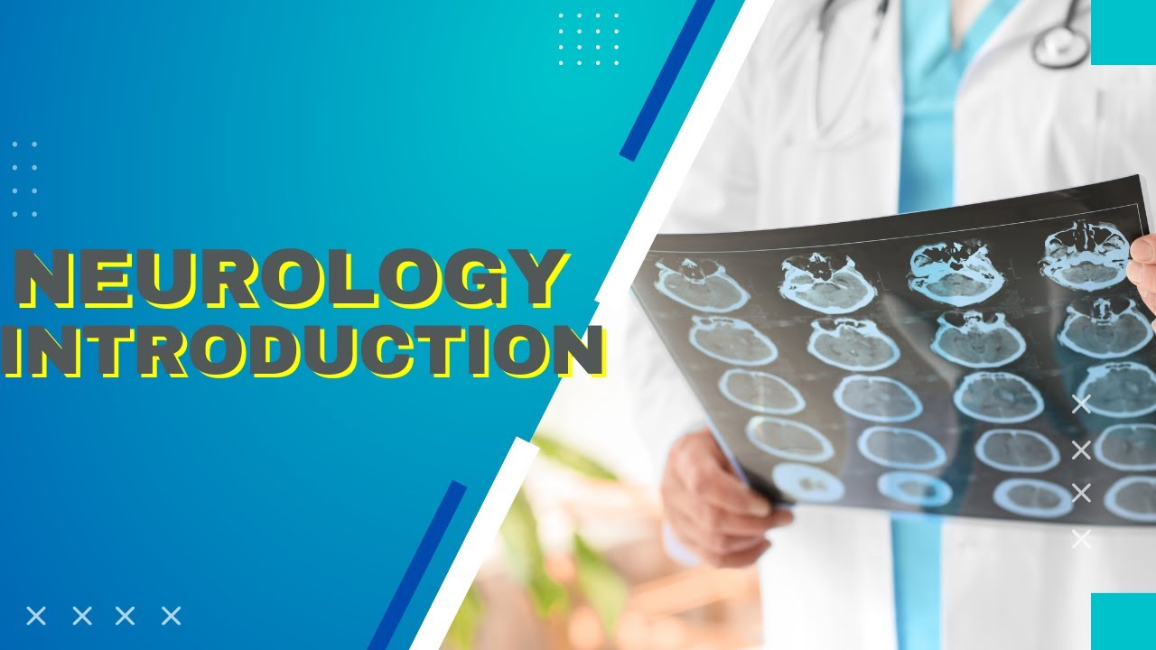 Lecture 1 Neurology Introduction - YouTube