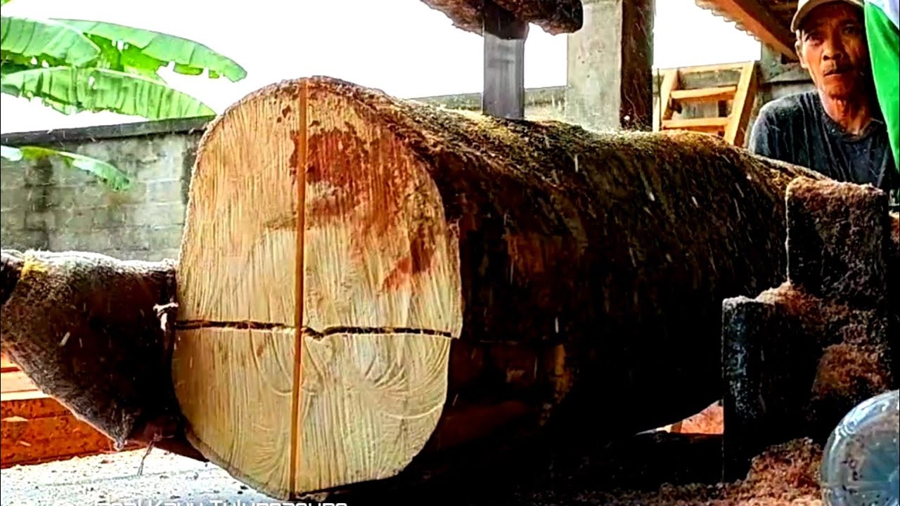 Prone to Break!!! Sawmill Operators Be Extra Careful... So The Boss ...