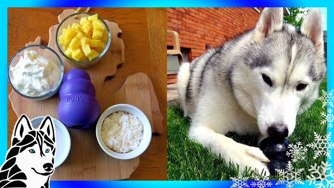DIY PINA COLADA KONG FOR DOGS | Frozen Dog Treats | Snow Dogs Snacks 74 ...