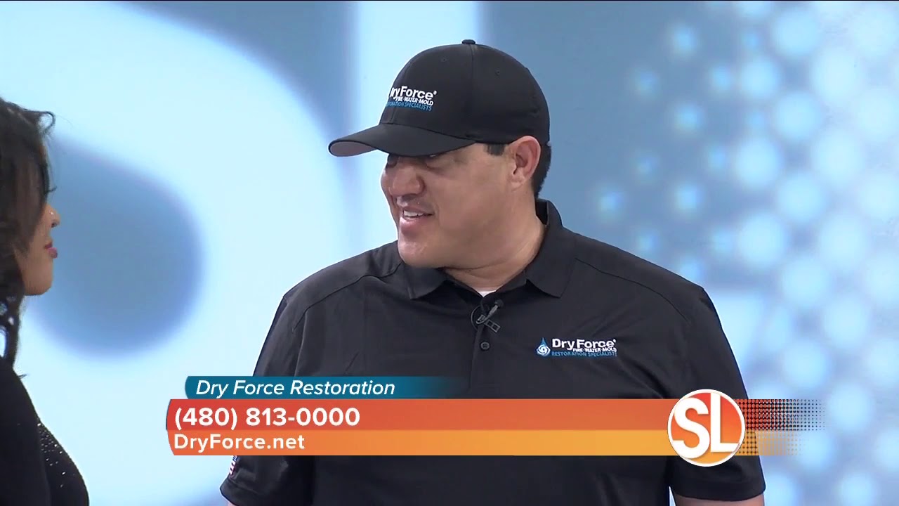 Dry Force Restoration Specialists: Fire, water and mold experts - YouTube