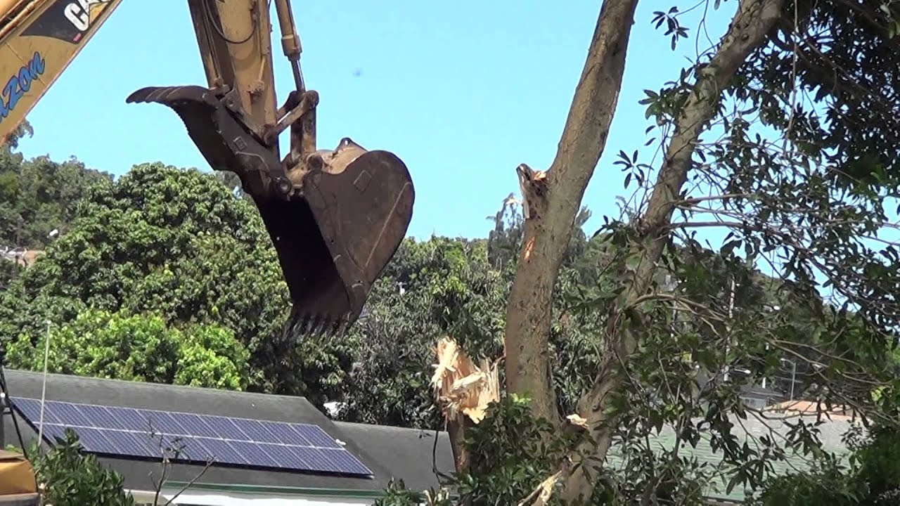 Excavator knocking down tree's Kaneohe 03/19/2014 - YouTube
