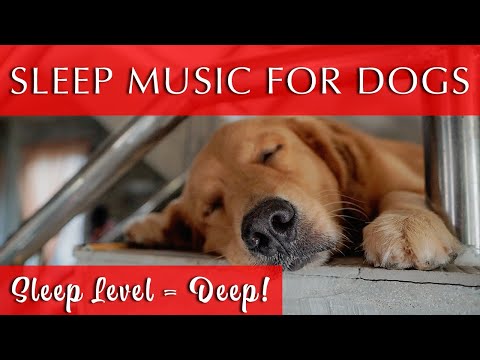 Music to Make Dogs Go to Sleep Fast | Sleep Level = DEEP!