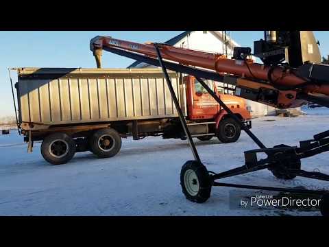 What Is Seed Cleaning Soybeans