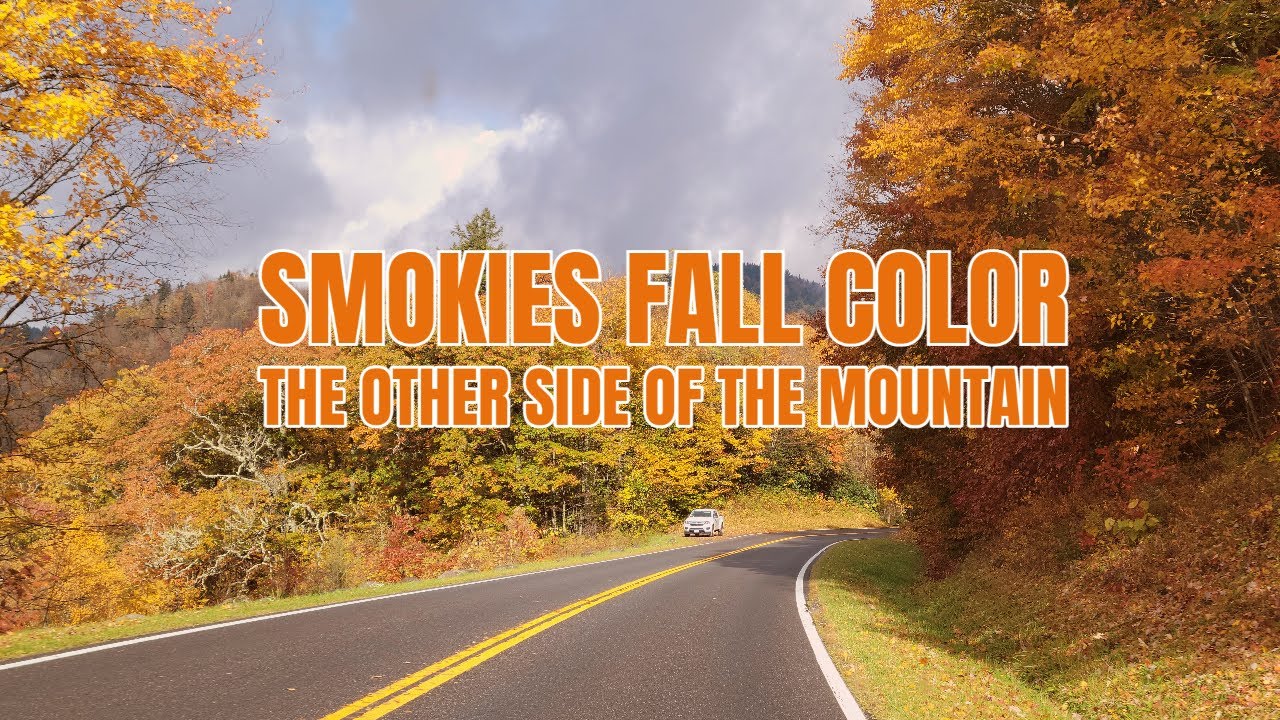 2022 SMOKIES FALL COLOR | THE NORTH SIDE - YouTube