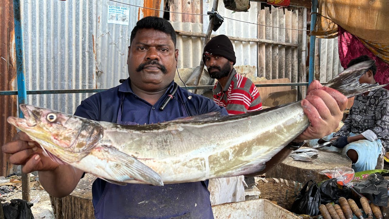 COBIA FISH | KADAL VIRAAL ⚡️🦈🗡 KASIMEDU FISH CUTTING⚡️VADACHENNAI ...