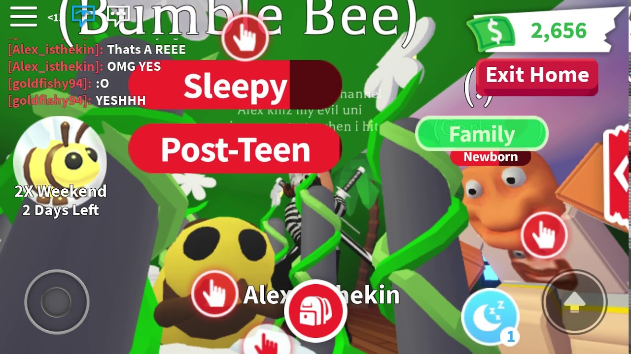 Trying out new bee pet!!! (ROBLOX adopt me) - YouTube