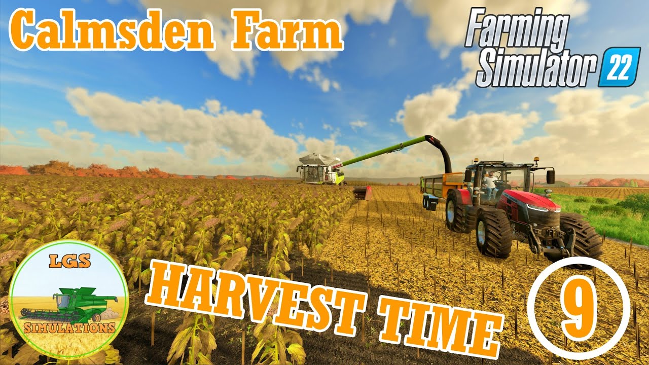 BIG SUNFLOWER HARVEST | FS22 | Farming Simulator 22 | EP9 | (Timelaps ...