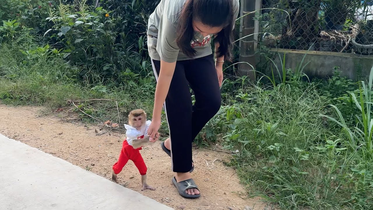 Princess Zim looked so happy when Miu took her to harvest avocados ...