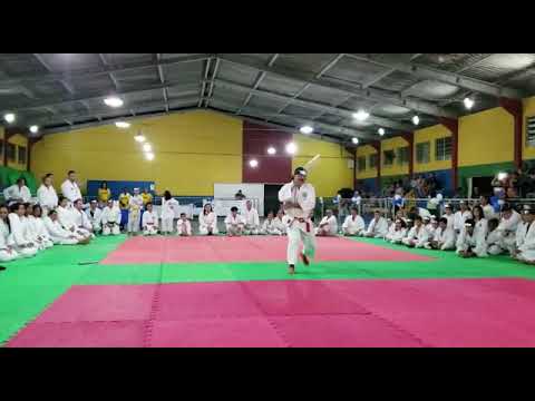 Karatê Kodokan - Shorin Ryu - Apresentação Sensei Djalma - YouTube