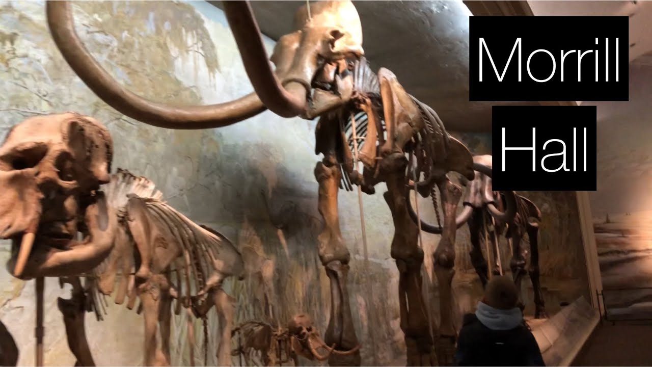 Visiting MORRILL HALL ~ Come Along to See This Museum! - YouTube