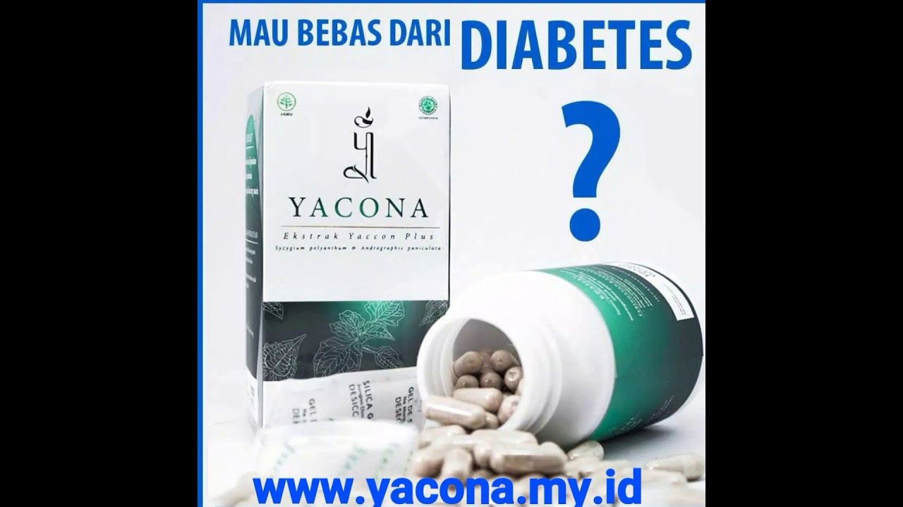 Obat Diabetes | Yacona Ekstrak Yakon Plus - YouTube