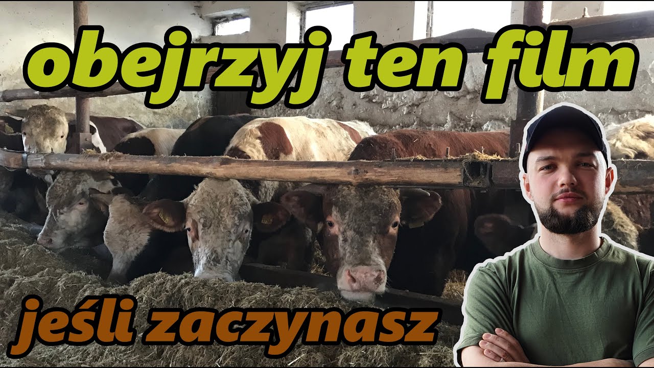 BYCZY INTERES czyli SUKCES CZY PORAŻKA ? - YouTube
