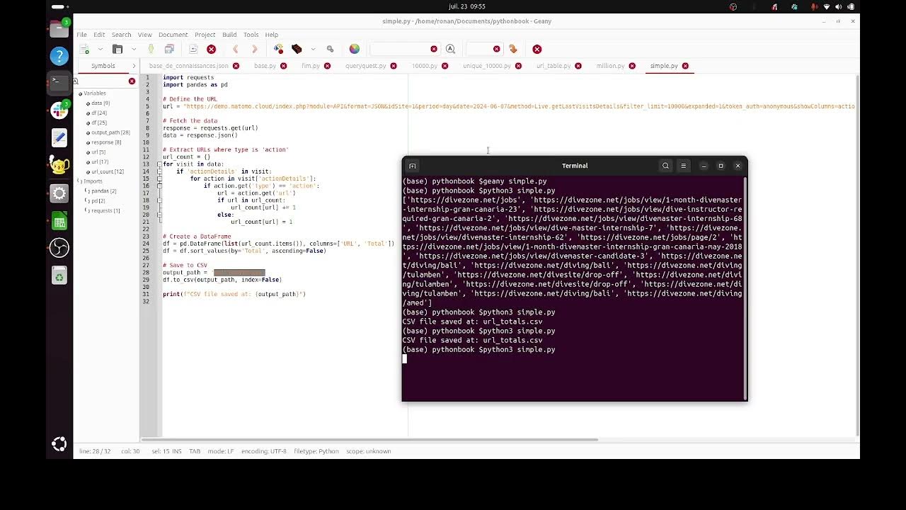 How to get information grouped under others within Matomo thanks to a Python script? - YouTube