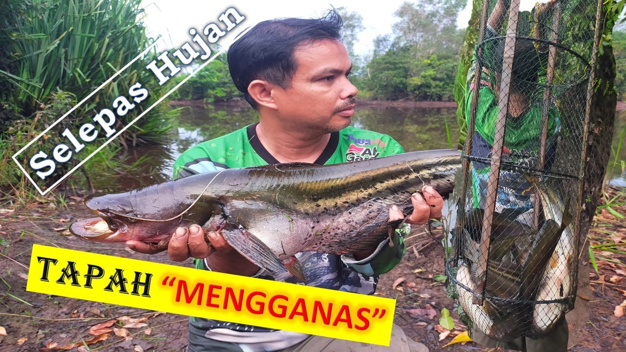 Tapah Mengganas selepas hujan renyai-renyai - YouTube