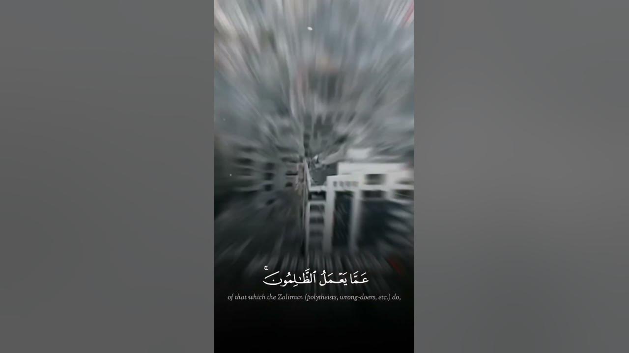 غزه دمتي Youtube