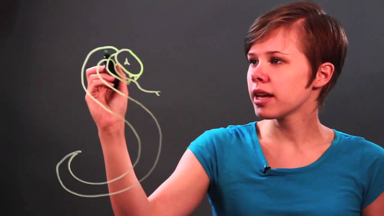 How to Draw a Serpent - YouTube