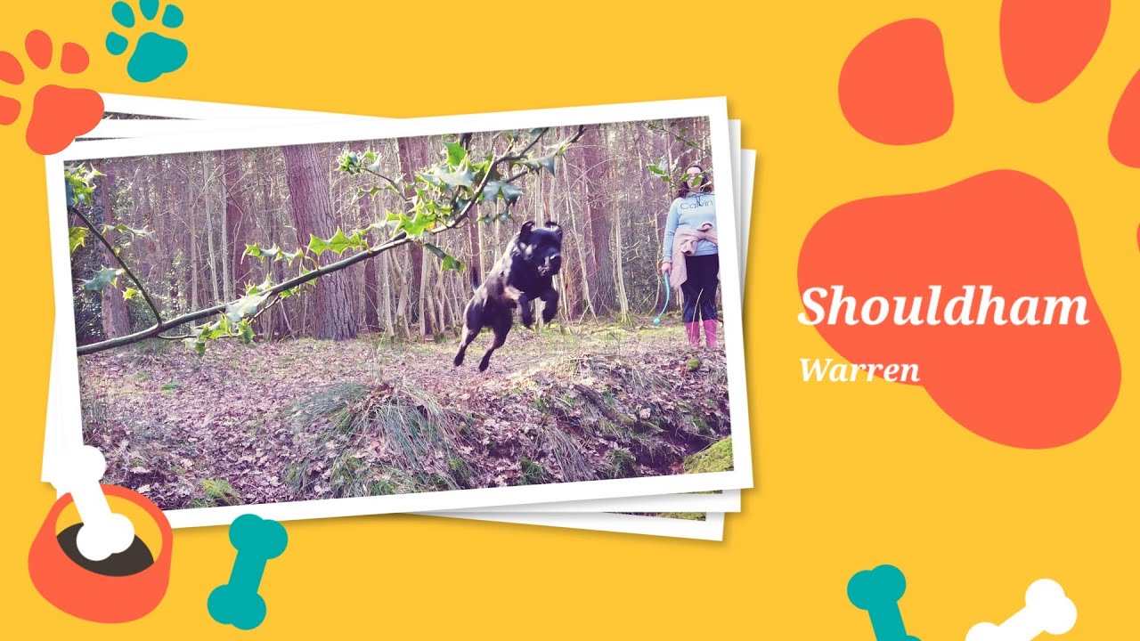 Walk with us: Shouldham Warren - YouTube