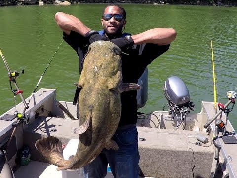 Tennessee River Catfishing in Alabama: A couple days of Heaven! - YouTube