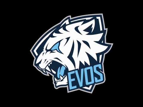 Evos Viral..