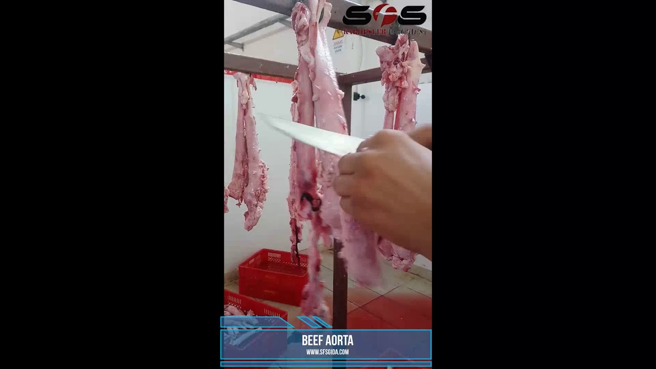 Beef Aorta - Frozen Beef Aorta - YouTube