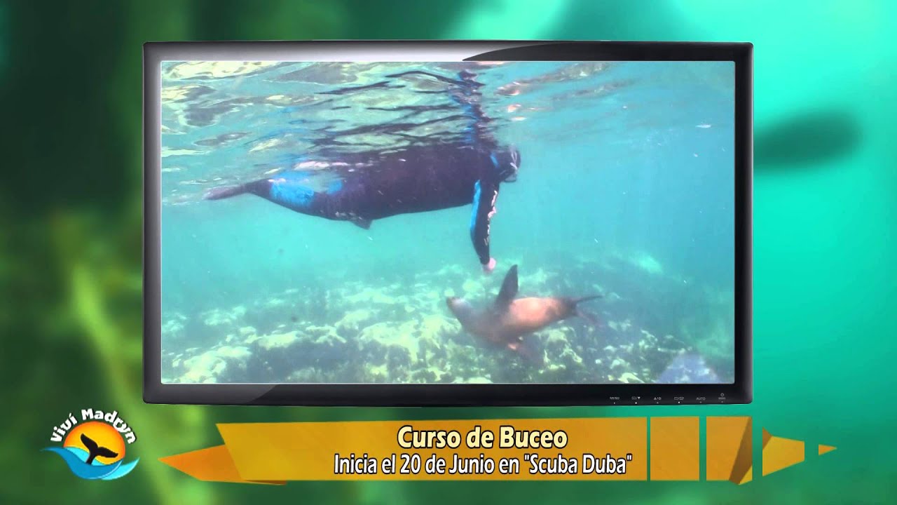 Curso de Traje Seco - Scuba Duba Buceo - YouTube