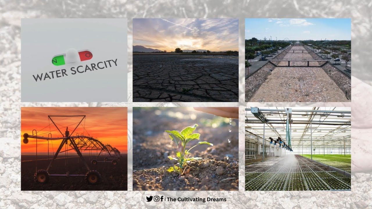 Farming Without Irrigation: A Drying World - Farming By Faith