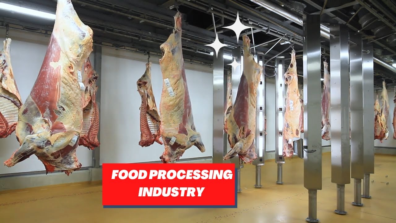 AMAZING FOOD PROCESSING INDUSTRY & TECHNOLGY YOU MUST SEE - YouTube